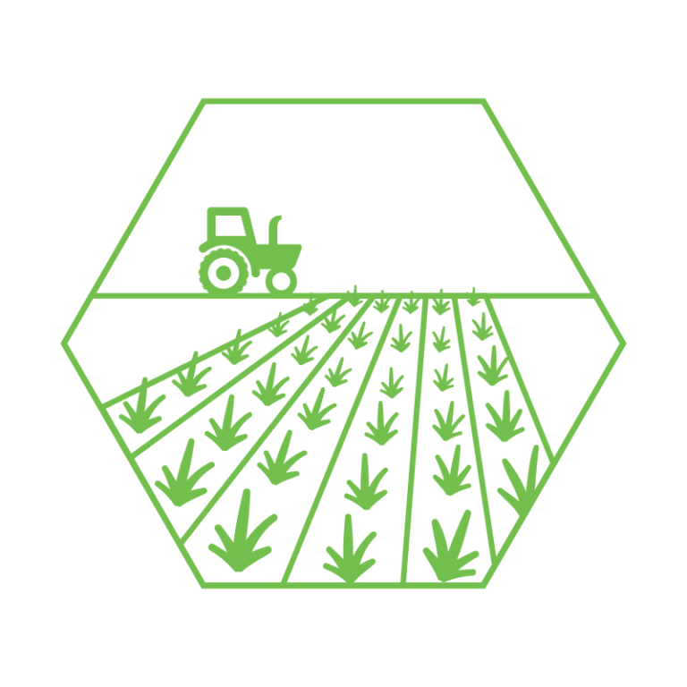 Apply for Right Cannabis License for Your Business