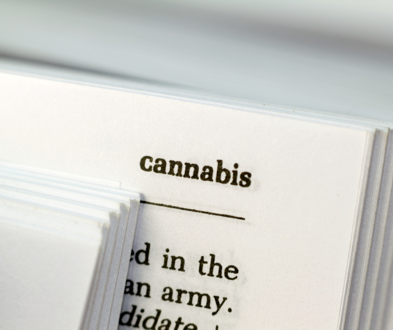 Cannabis Export and Import Permit Health Canada