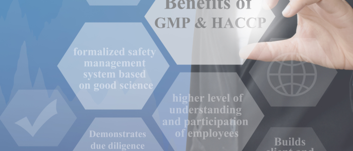 Everything you should know about Cannabis GMP Certification
